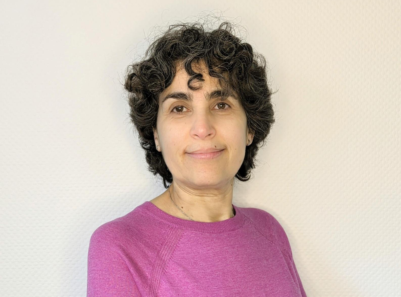 Le référentiel des compétences clés en situation professionnelle (RCCSP ...